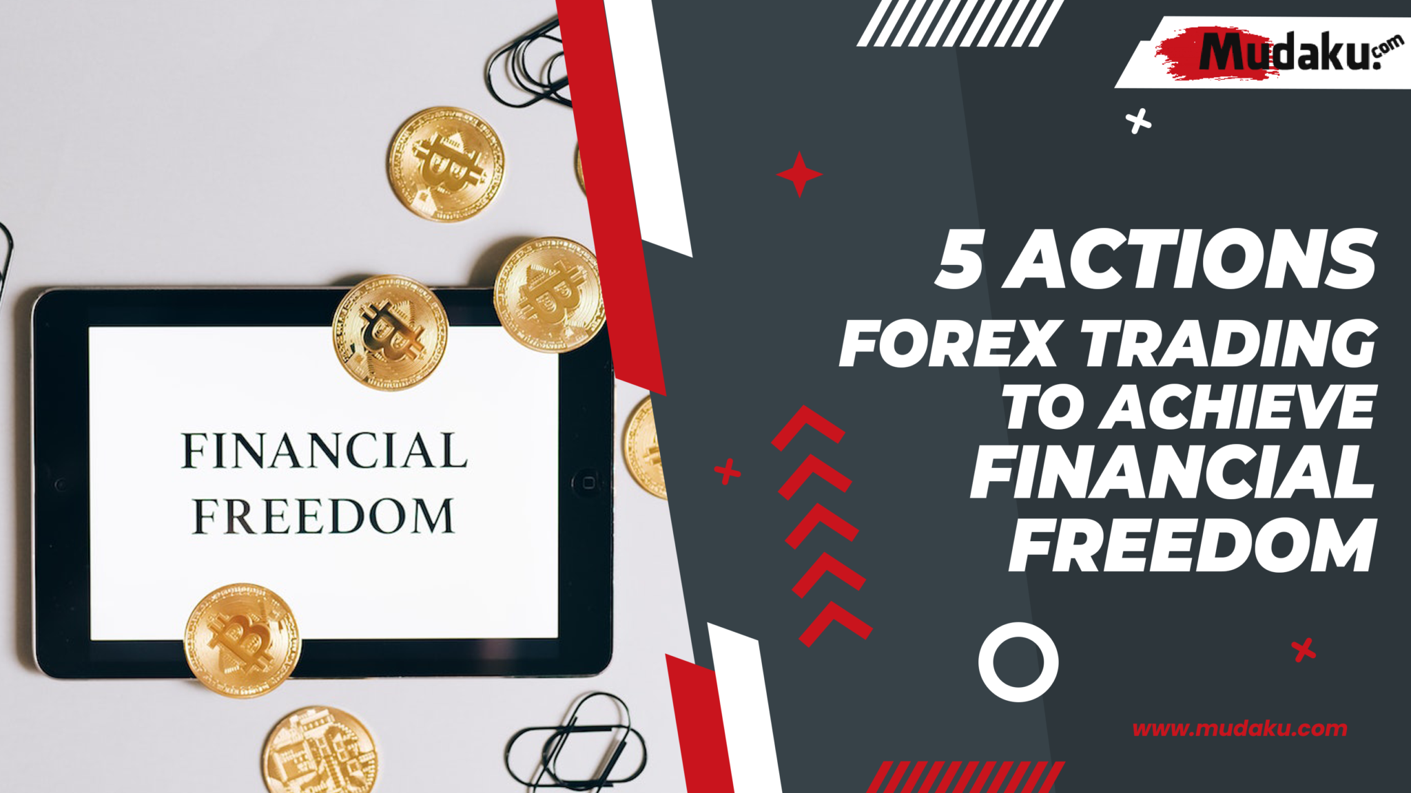 Financial : 5 Actions Forex Trading to Achieve Financial Freedom
